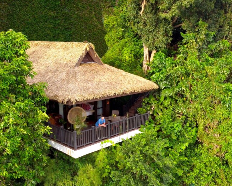 Home - Araw Hospitality Group